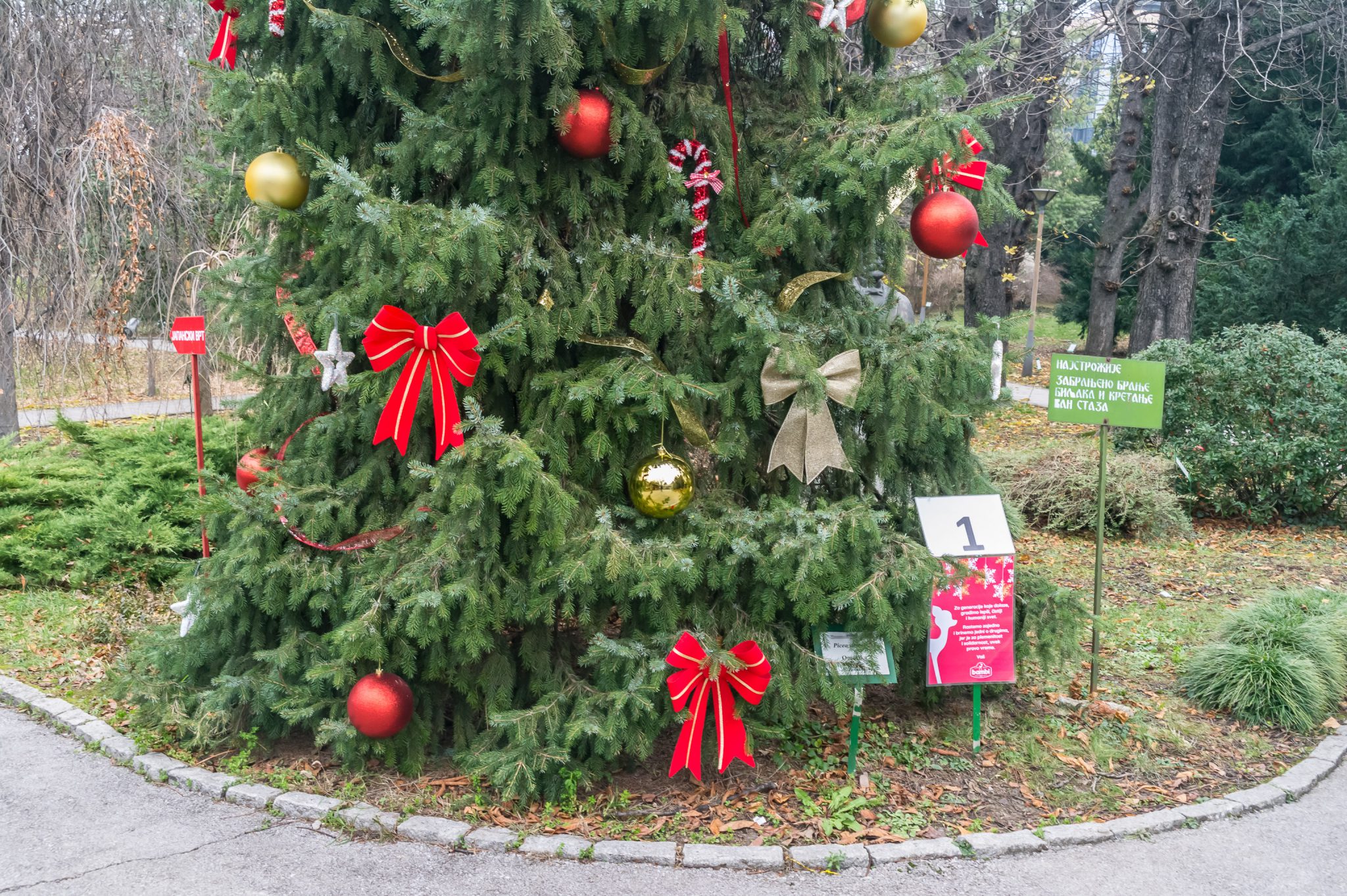 Institut za botaniku i Botanička bašta „Jevremovac“ – Institut za ...