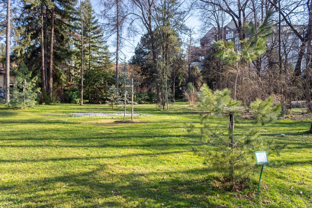 Vesti – Institut za botaniku i Botanička bašta „Jevremovac“