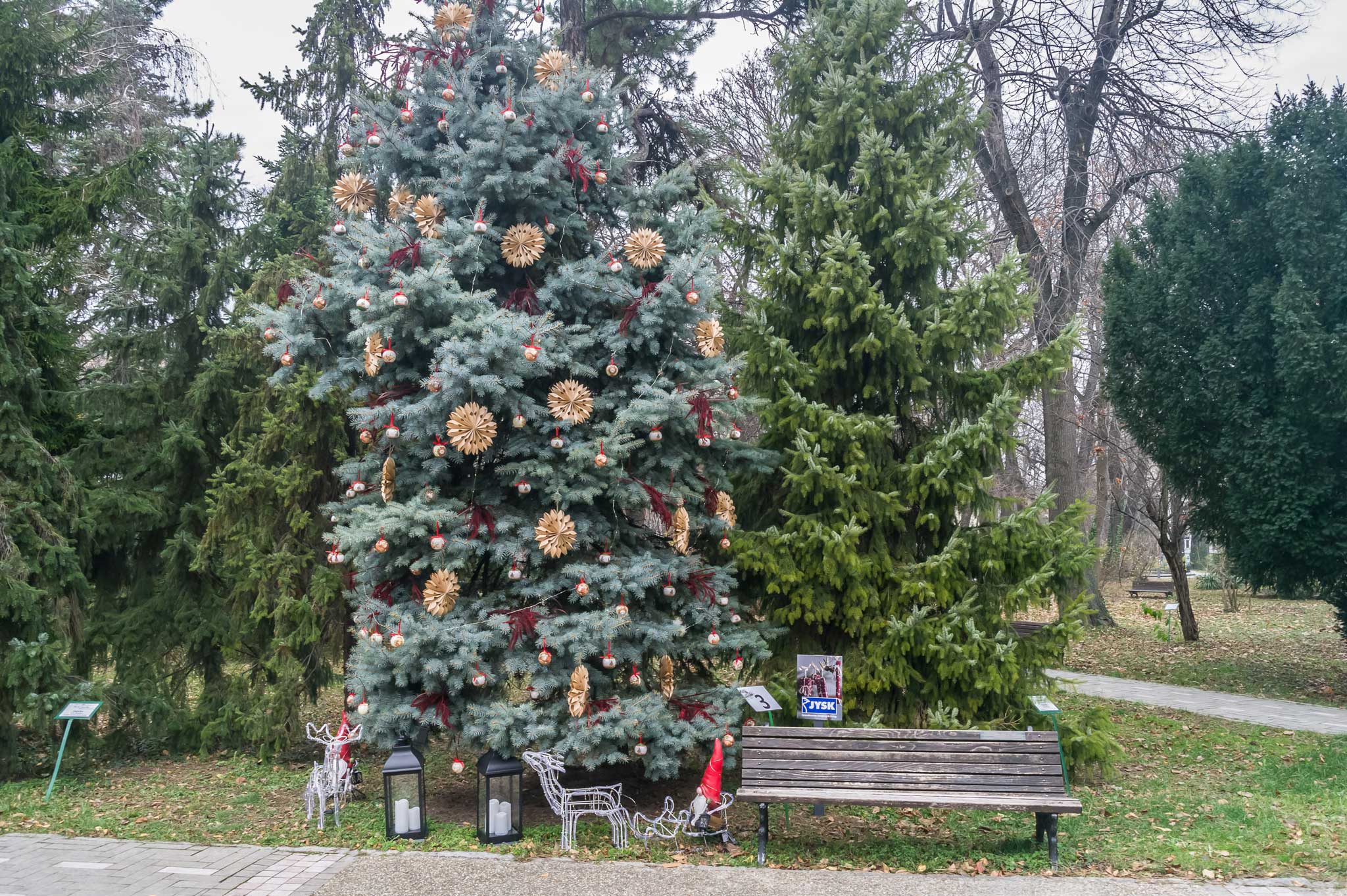 Vesti – Institut za botaniku i Botanička bašta „Jevremovac“